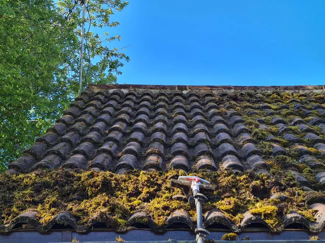 How Professionals Clean Your Roof Manchester | Just Clean Property Care